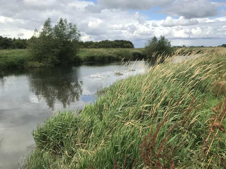 The River Hull & Tophill Low Nature Reserve loop from Beverley | hike ...