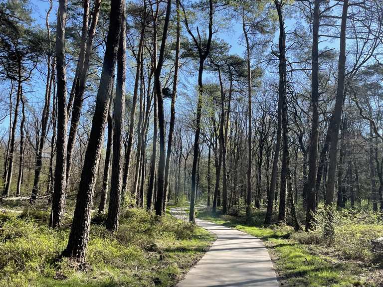 Herfst fietstocht door bos en heide vanaf Station Ede | fietstocht | Komoot