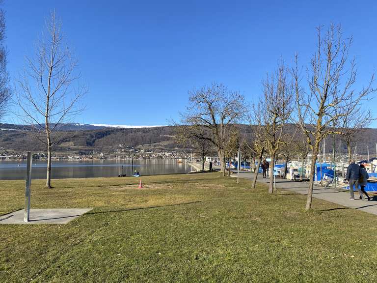 Erlach St. Petersinsel: Wanderungen und Rundwege | komoot