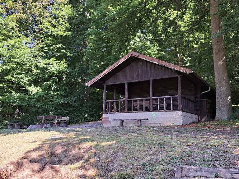 Waldhütte Diedesheim wandelroutes en hikes | Komoot