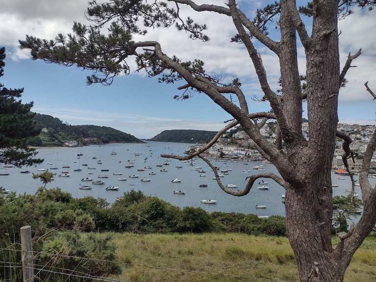 Salcombe Castle & Snapes Point loop from Salcombe — South Devon AONB ...
