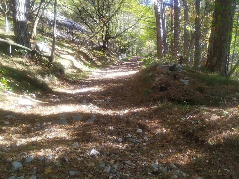 Aufstieg zur Mala Gora und Berghütte – Radrouten & Anfahrt | Komoot