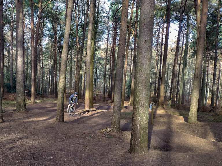 Aspley Woods & Woburn Bike Park from Leighton Buzzard | mountain bike ...
