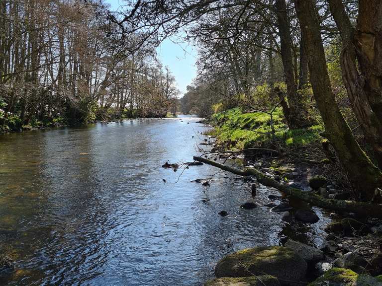 The Drake Stone, West Wood & Harbottle Castle loop — Northumberland ...