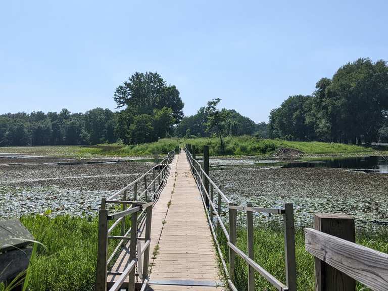 Cash Lake Trail: Wanderungen und Rundwege | komoot