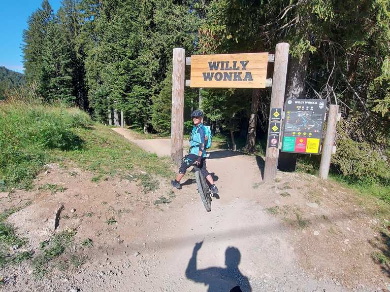 Willy Wonka Trail Mountain Bike Trails & Tracks | Komoot