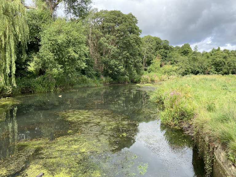 The Haycutter loop from Oxted | hike | Komoot