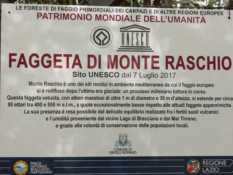 Beech Forest of Monte Raschio (UNESCO World Heritage Site) Routes for ...