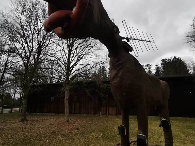 Der synthetische Hirsch von Weyhausen : Radtouren und Radwege | komoot