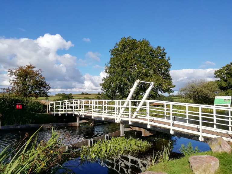 The Grand Western Canal loop from Tiverton | ride | Komoot