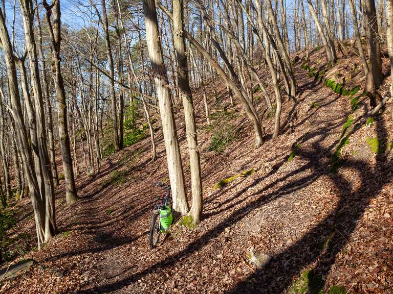 Single VTT Mountain Bike Trails & Tracks | Komoot