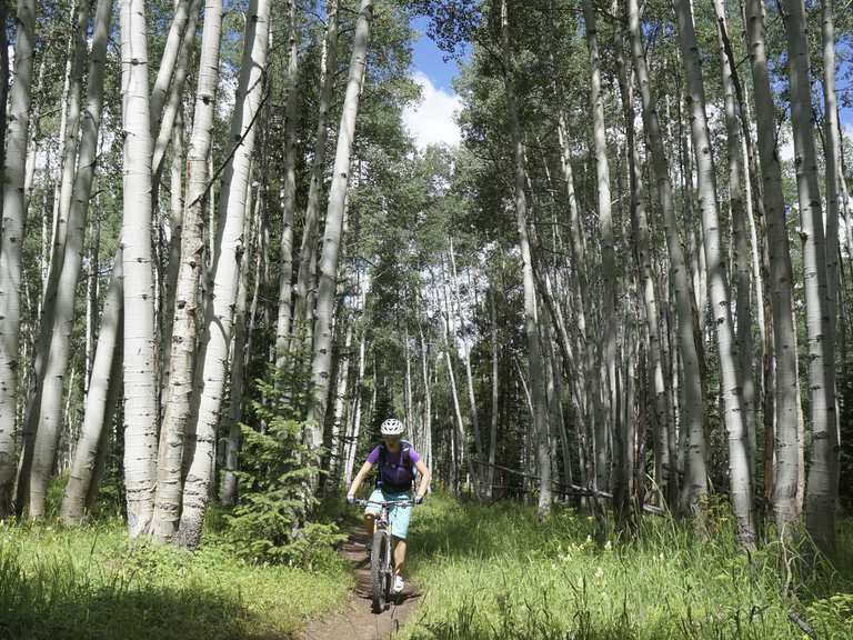 403 Trail – Gunnison National Forest Você quer explorar o 403 Trail na Floresta Nacional de ...