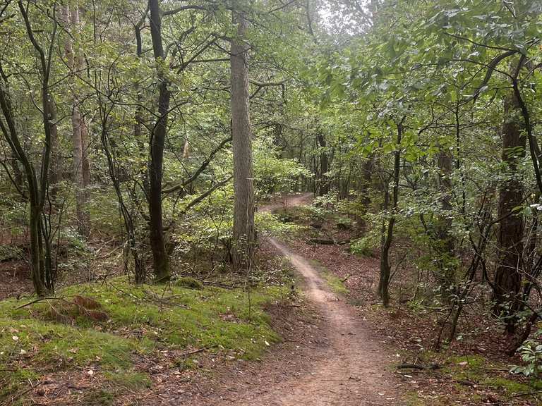 Rode MTB route Appelscha: Mountainbike-Touren und -Trails | komoot