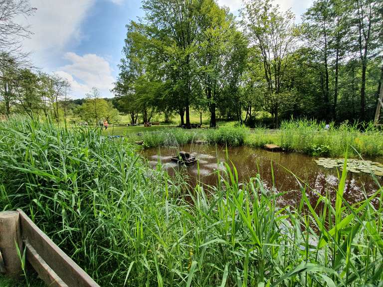 Naturspielplatz Bibertal und Biberpfad: Wanderungen und Rundwege | komoot