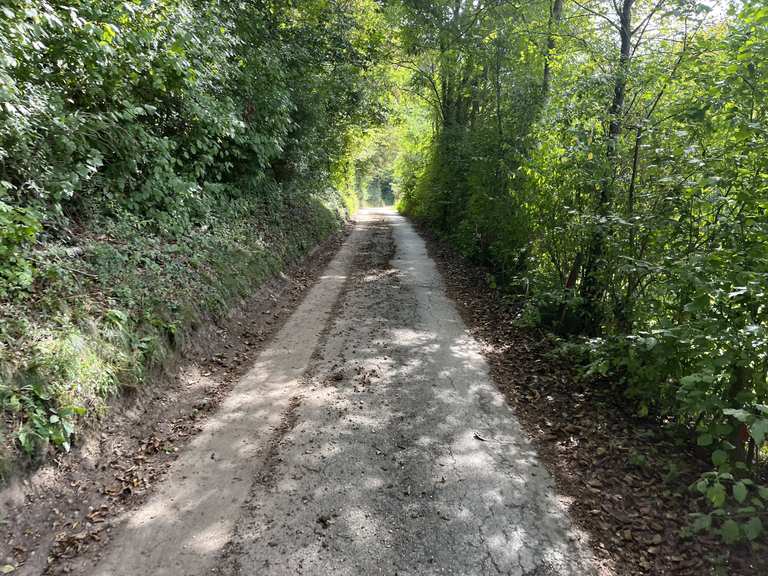 Waldweg nach Friesach : Radtouren und Radwege | komoot
