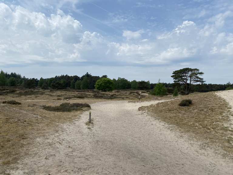 Bornia wandelroutes en hikes | Komoot