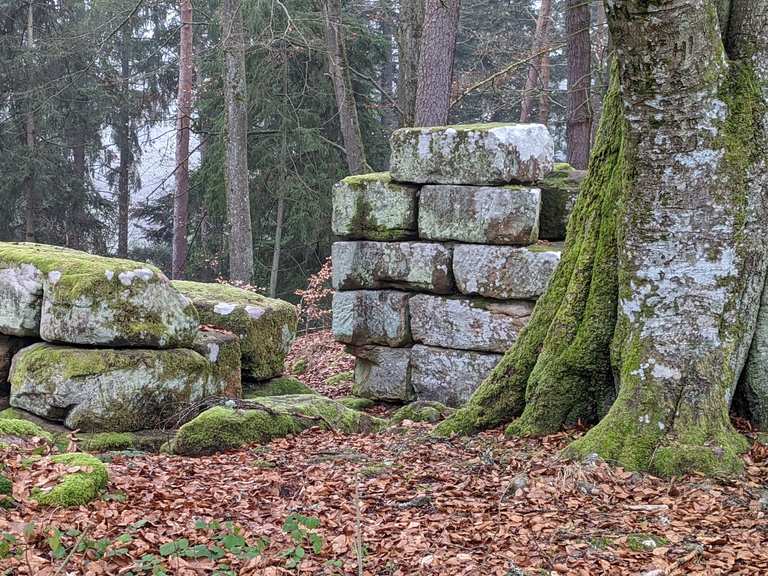 Ruines de la forteresse romaine de Heidelsburg - Itinéraires de rando ...