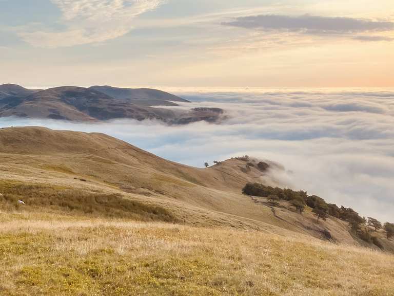 Turnhouse Hill & Glencorse Reservoir loop from Flotterstone — Pentland ...