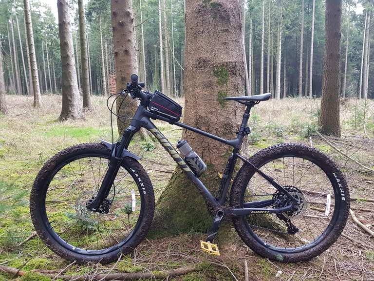 Muddy MTB trail - Mountain Bike Trails & Tracks | Komoot