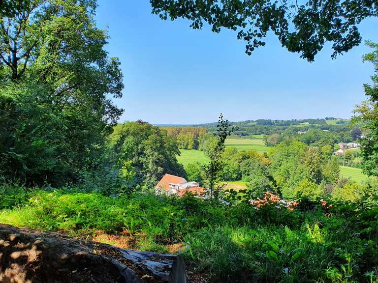 Geulhemmermolen: Rennradfahren und Rennradtouren | komoot