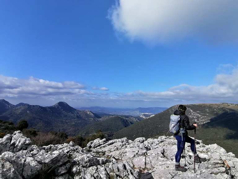 Crestería de la Sierra del Pinar — Parc naturel de la Sierra de ...