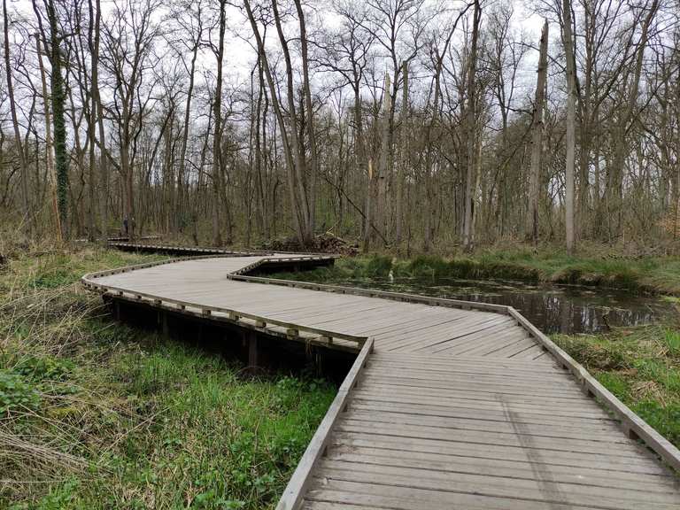 Vlonderpad naar het Fort van Oelegem wandelroutes en hikes | Komoot