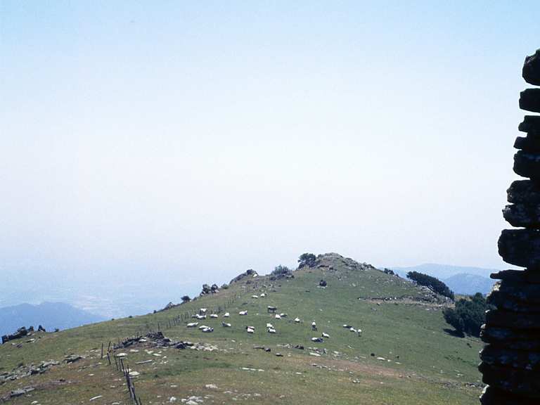 Puig Neulós /Pic du Néoulous (Gipfel,1257 m) : Radtouren und Radwege ...