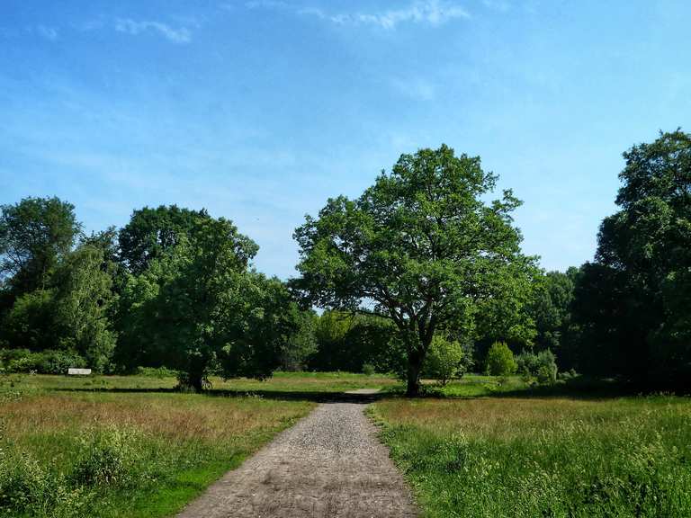 Volkspark Wuhlheide: Wanderungen und Rundwege | komoot