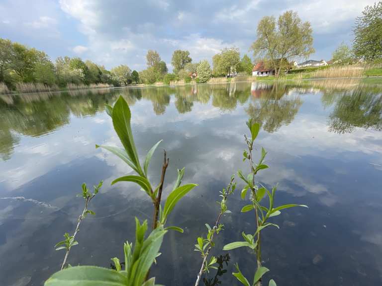 Ochsensee in Schlangen: Mountainbike-Touren und -Trails | komoot