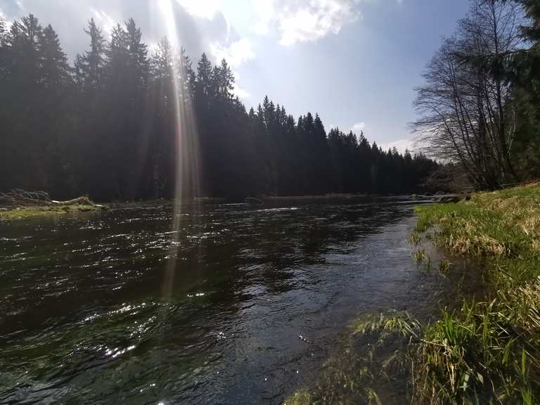 Blick auf den Schwarzen Regen – Fluss Schwarzer Regen Runde von Sohl ...