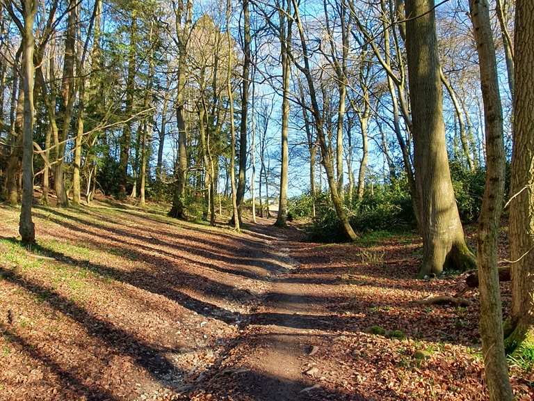 Pyrton Hill House climb along Oxfordshire Way - Routes for Walking and ...