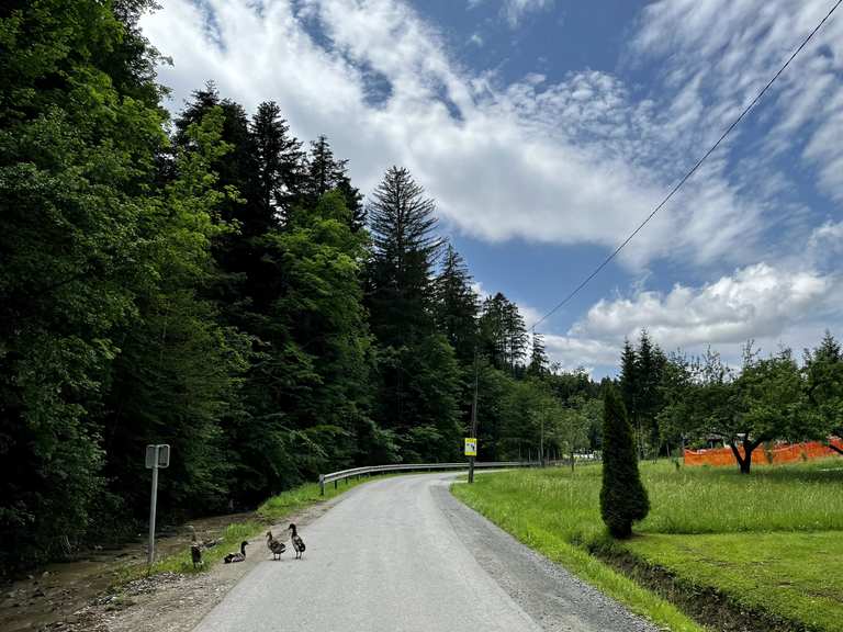 Drava Cycle Path – Section 9 Cycle Routes and Map | Komoot