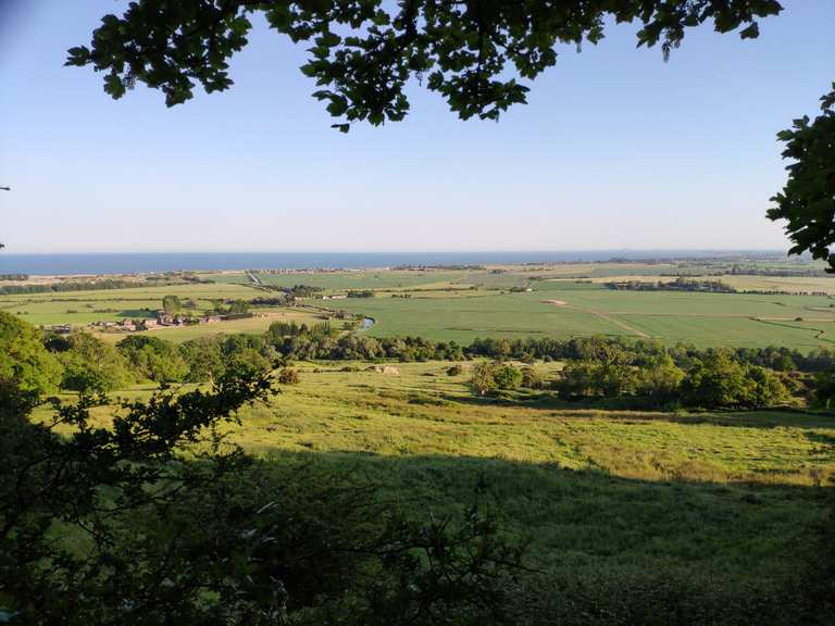 Lympne Castle & Howletts & Port Lympne Wildlife Reserve loop — Kent ...