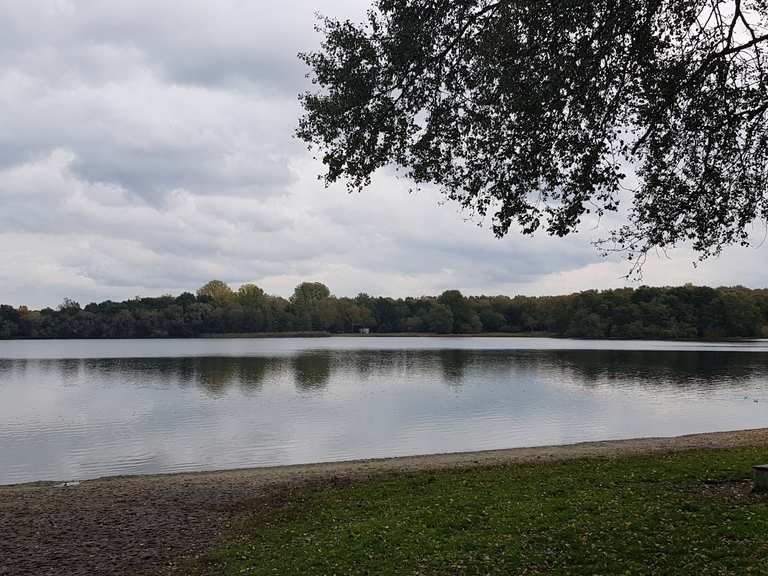 Stadtwaldsee (Unisee) Bremen: Wanderungen und Rundwege | komoot