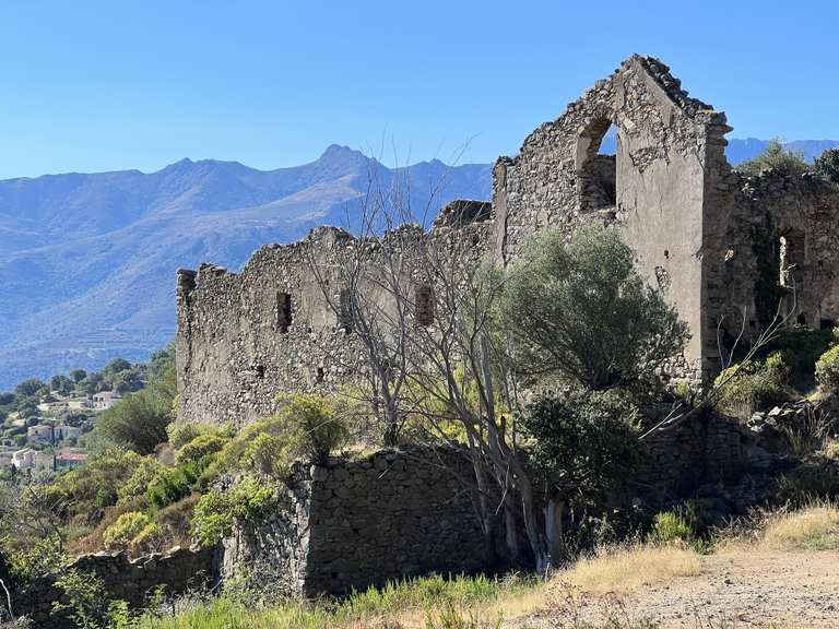 Occiglioni Santa-Reparata-di-Balagna - Santa-Reparata-Di-Balagna, Calvi ...