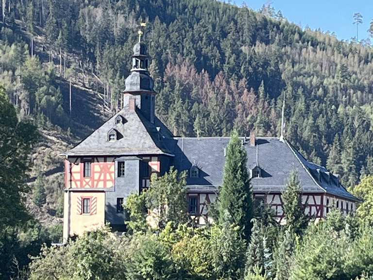Schloss Eichicht: Wanderungen und Rundwege | komoot