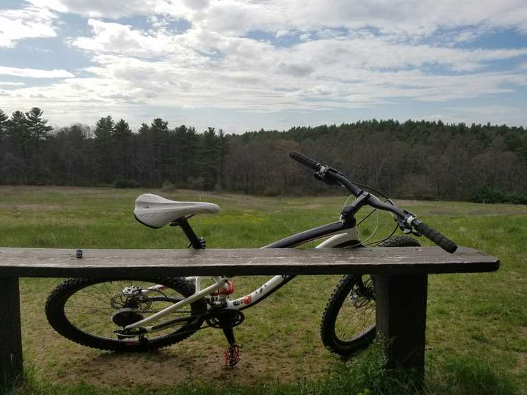 Coco Ridge Trail, Birch Trail, & Red Tail Trail loop — Callahan State ...