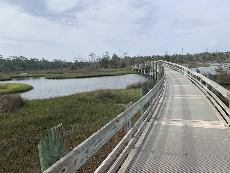 Cedar Point Tideland Trail Routes for Walking and Hiking | Komoot