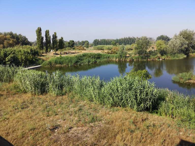 Ermita de Butsénit, Rio Segre and Rufea wetlands — Lérida | hike | Komoot