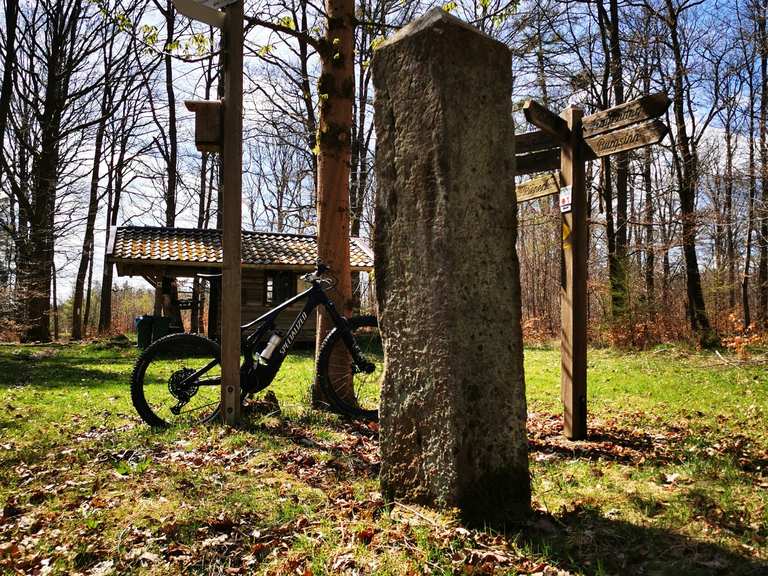 Langer Mark: MTB R1 NaturFlowTrail: Mountainbike-Touren | komoot