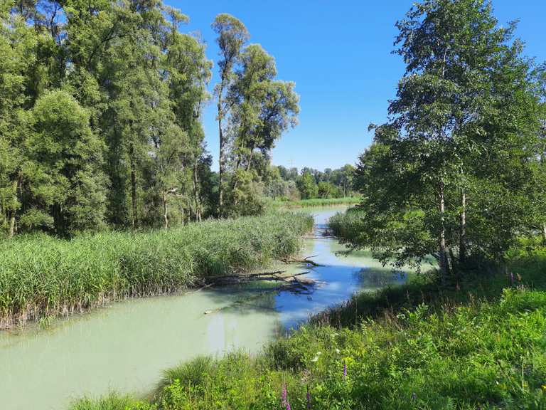 Erlebnisgaststätte Erlensee bei Schechen : Radtouren und Radwege | komoot