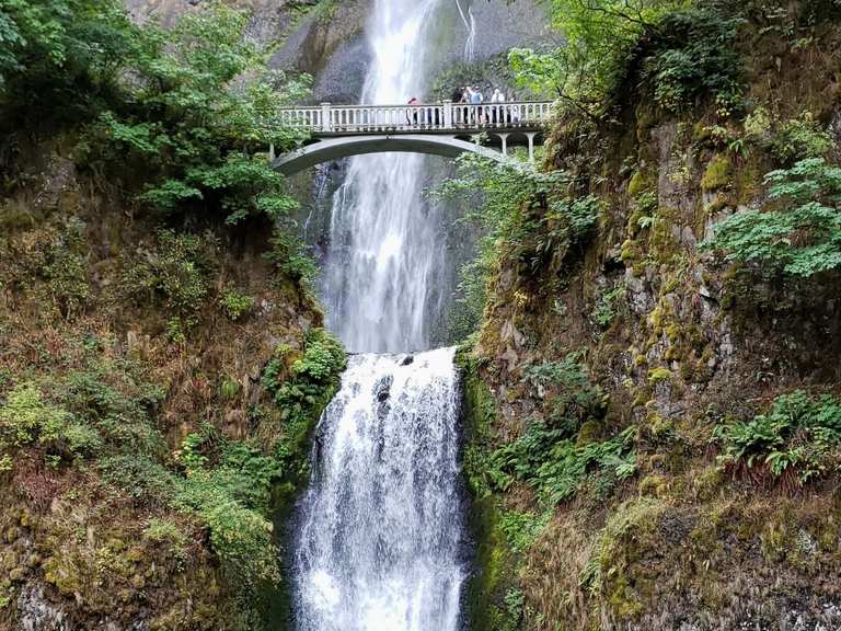 Wahkeena und Lower Multnomah Falls-Rundweg — Columbia River Gorge ...