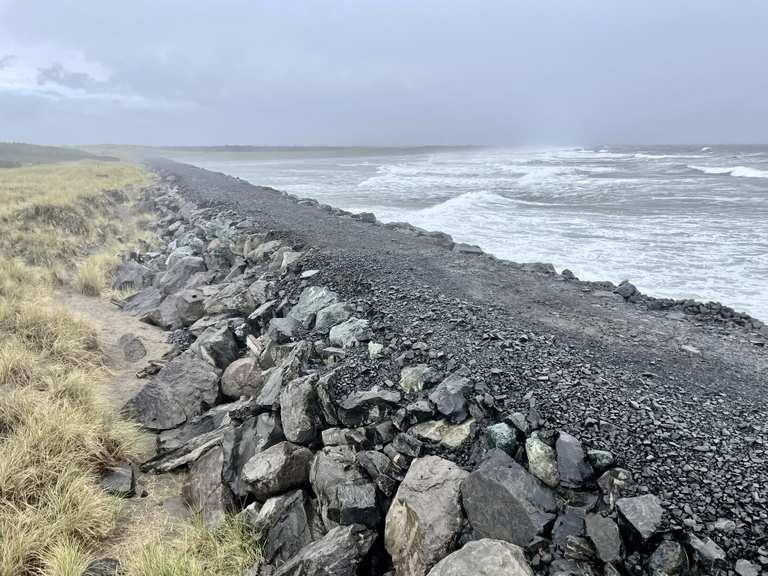 Columbia River South Jetty Observation Tower: Wanderungen und Rundwege ...