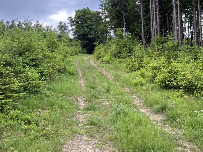 Raspberry Trail (Malinová Hora) Mountain Bike Trails & Tracks | Komoot