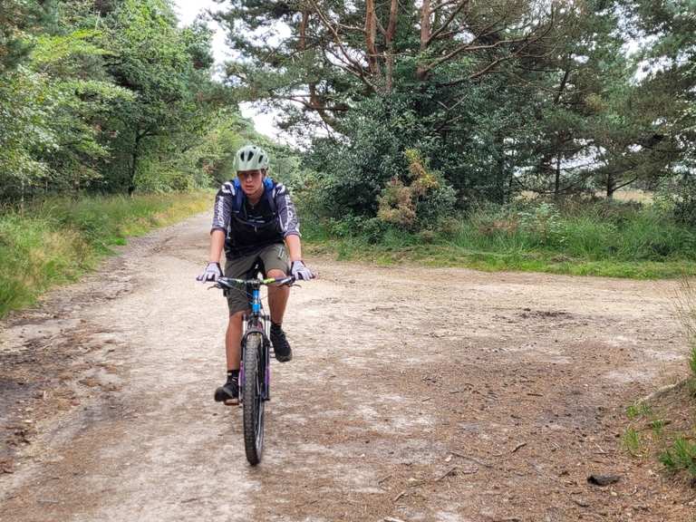 Mutters Moor nature reserve: Mountainbike-Touren und -Trails | komoot