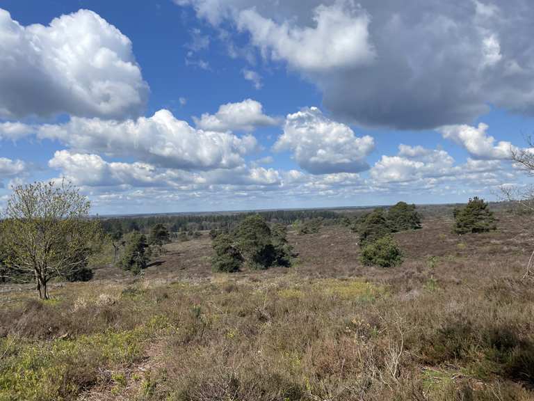 Holterberg wandelroutes en hikes | Komoot