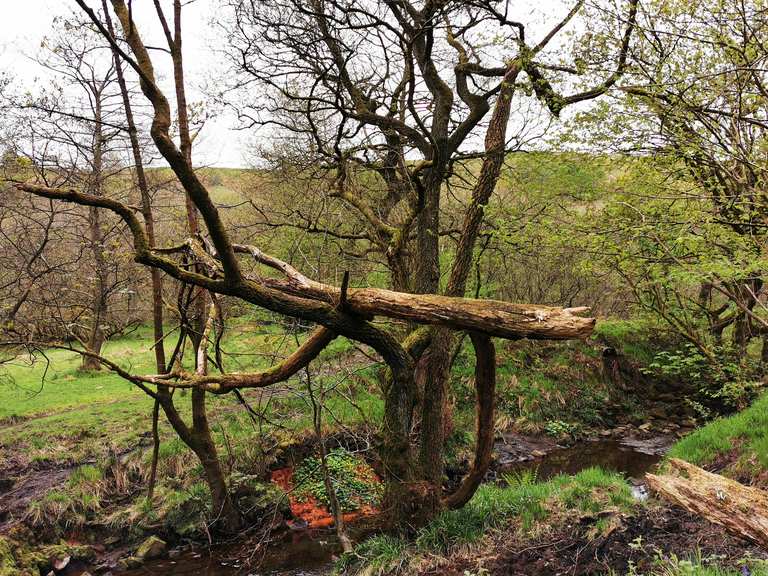 Cheesden Valley Walk Start – Deeply Vale Mill Ruins loop from Jericho ...
