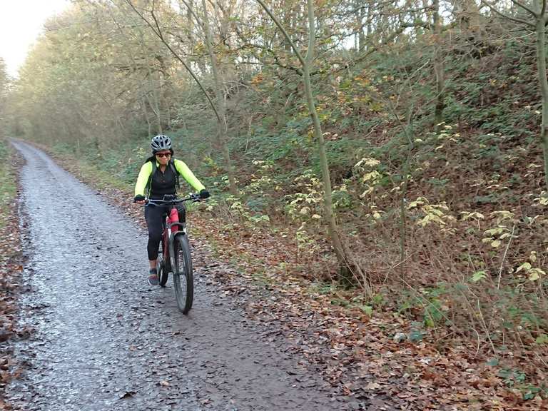 Silverhill Trail to Teversal Mountain Bike Trails & Tracks | Komoot