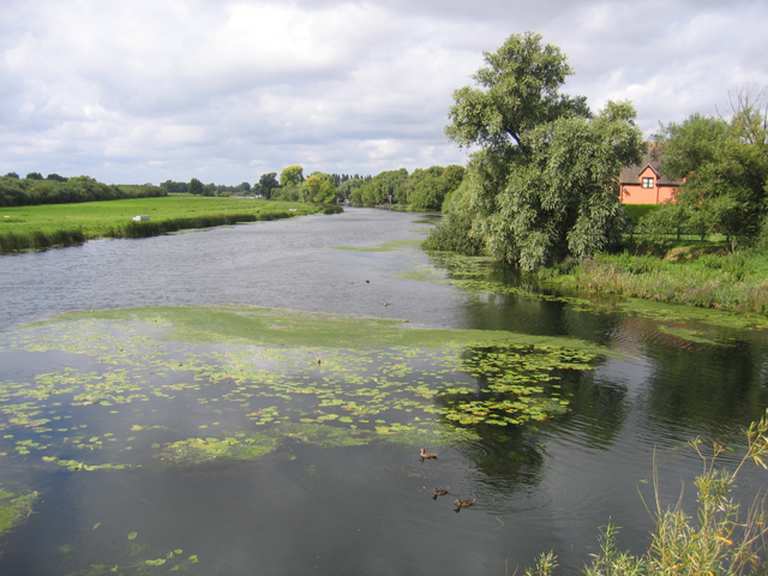 River Great Ouse bij Earith wandelroutes en hikes | Komoot