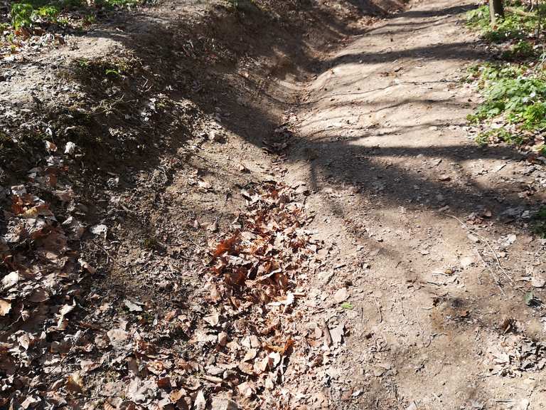 Mühliweiher Trail, Remetschwil - Busslingen: Mountainbike-Touren | komoot